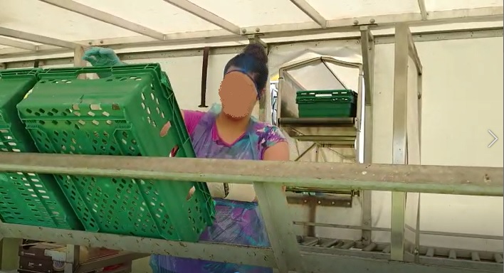 Out in The Field – CCM Farming