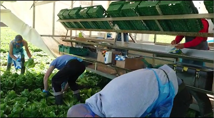 Out in The Field – CCM Farming