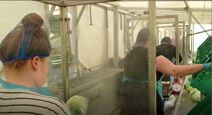 Out in The Field – CCM Farming