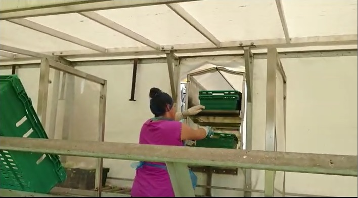 Out in The Field – CCM Farming