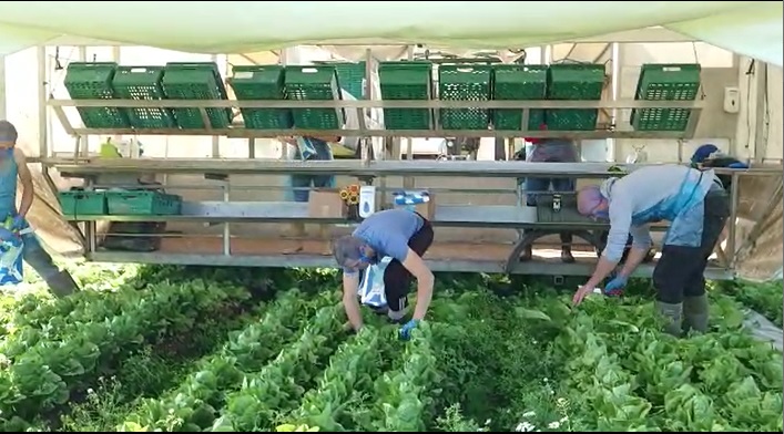 Out in The Field – CCM Farming