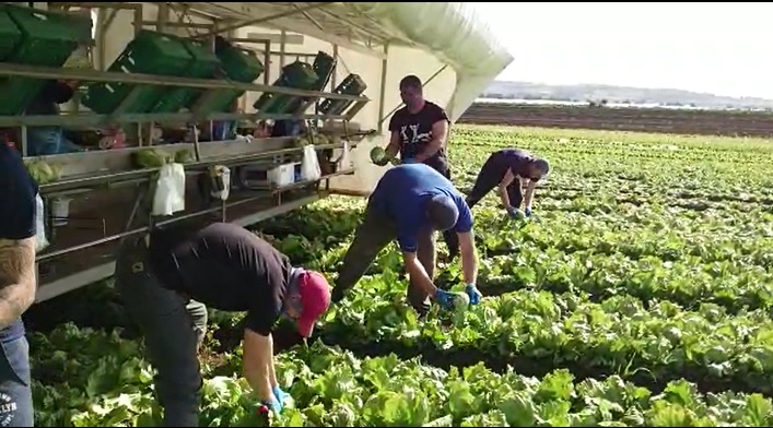 Out in The Field – CCM Farming